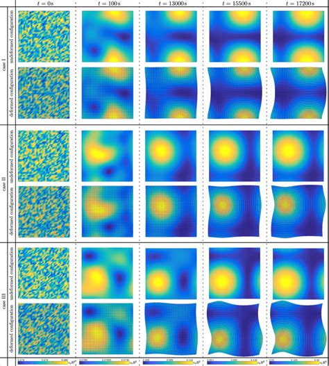 formation of aggregates under different initial random distributions