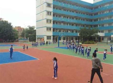 2022年中山市三乡镇小学招生划片范围一览小升初网