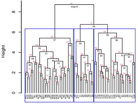 tree of morphological distances of the plants analyzed r 0 82 the
