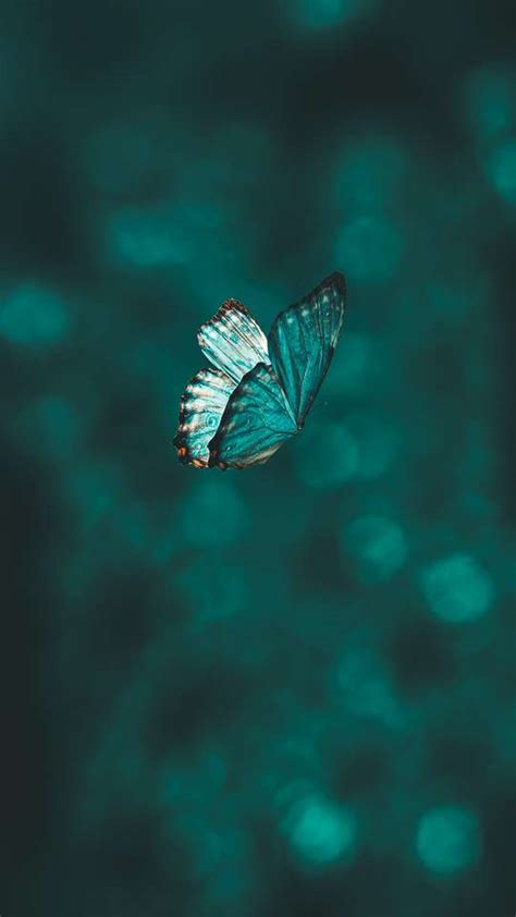 Mariposa Epuzzle Foto Puzzle
