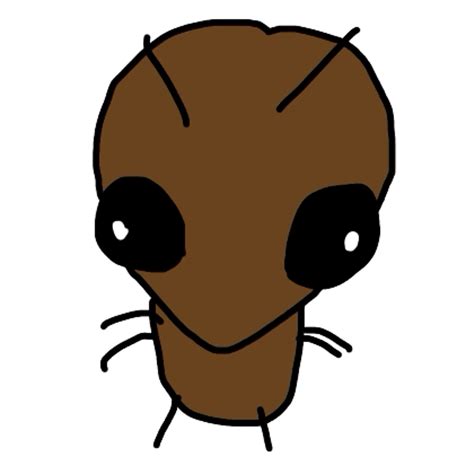 Cockroach Drawing