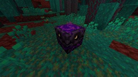 Minecraft Actualiza La Permitiendo El Spawn Desde El Nether