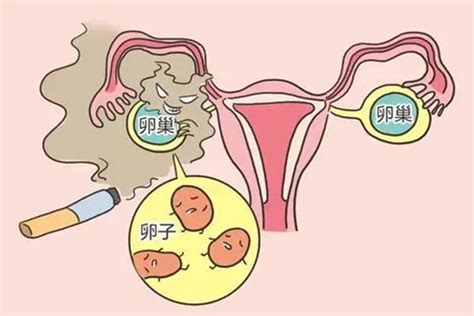 一般多大高龄卵巢衰退如何调理 好孕无忧