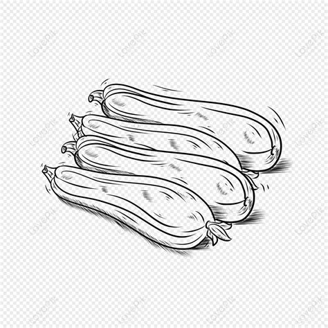 음식 야채 검은 색과 흰색 선 호박 Png 일러스트 무료 다운로드 Lovepik