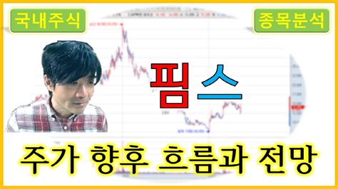 핌스 주가의 향후 흐름과 전망 Youtube