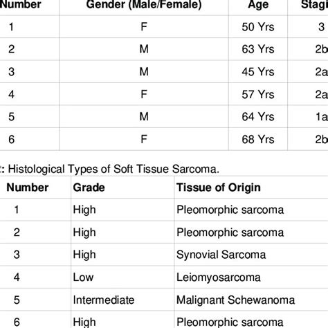 Clinical Staging Enneking S Classification Download Scientific Diagram