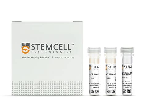 Easysep™ Human B Cell Enrichment Kit Stemcell Technologies