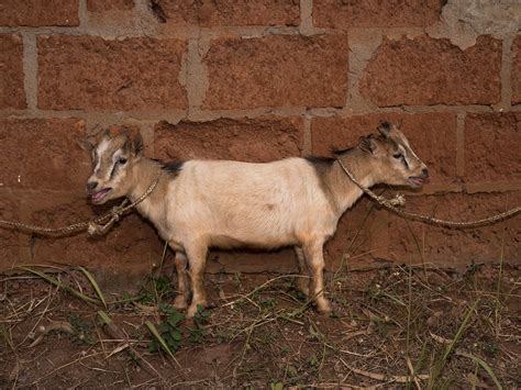 Ic Visual Lab Ic Visual Lab Added A New Photo