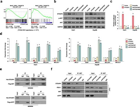 Steap4 Inhibits Cisplatin Induced Chemotherapy Resistance Through Suppressing Pi3k Akt In