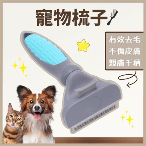 寵物梳子 寵物除毛梳 寵物梳 廢毛梳 梳毛刷 貓梳 不鏽鋼針梳 一鍵除毛梳 高精寵物用品 寵物用品寵物用品店台中寵物用品店大雅寵物用店