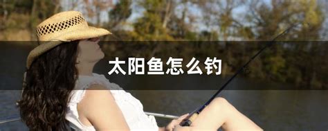 太阳鱼怎么钓 鱼百科