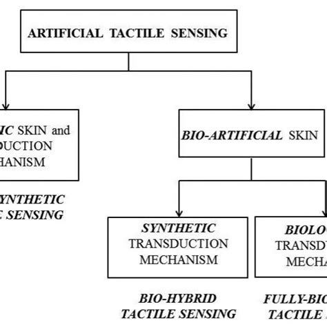 Classification Of Artificial Tactile Sensing With Respect To The Download Scientific Diagram