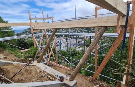 Earn Pl By Tristan Patterson Builders ArchiPro NZ