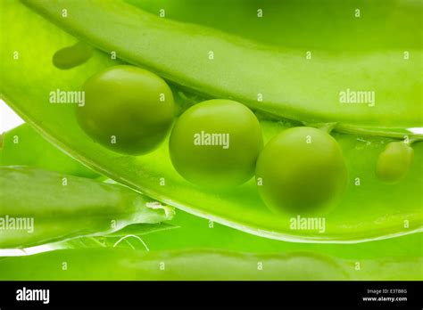 Peas In Pod Stock Photo Alamy