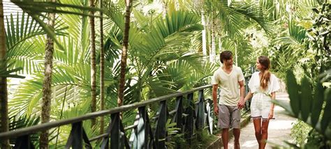 Jamaica Travel Guide Best At Travel The Edit