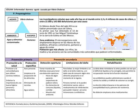 Colera Historia Natural De La Enfermedad Y Epi REFERENCIA Kumate