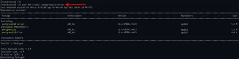 How To Install Wikijs On Rocky Linux