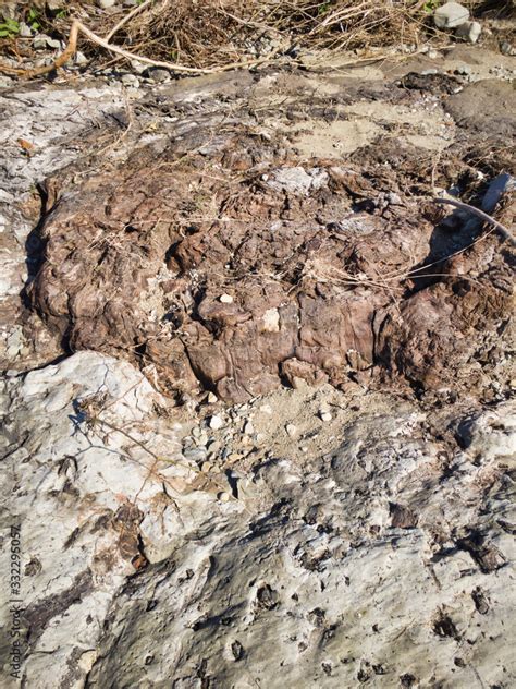 2020 Shocking Sight Miracle Fossils A Scene Created By Lava Flowing Out Of A Volcanic Eruption