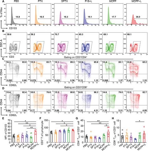 Mcpp L Therapy Initiates T‐cell Clone Expansion And Differentiation A Download Scientific