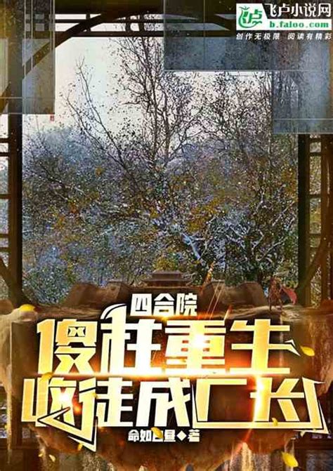 四合院：傻柱重生，收徒成厂长命如白昼小说全本小说下载飞卢小说网
