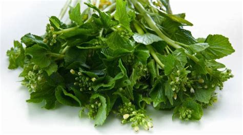 天气变冷吃这些蔬菜就对了 4 种冬天适合吃的青菜 知乎
