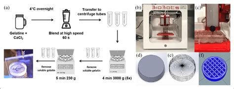 Preparation Steps Of The Gelatin Bath A Allevi D Bioprinter Setup