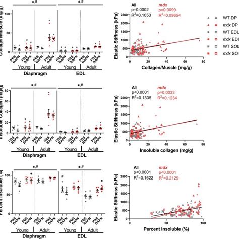 Collagen Content And Cross Linking Bapn Did Not Reduce Collagen