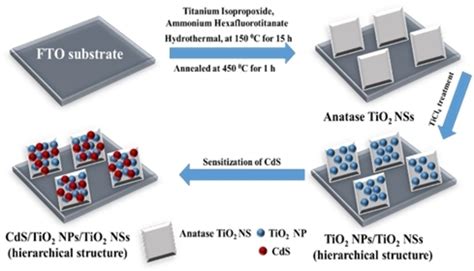 Cds Decorated On Hierarchically Structured Single Crystal Tio2