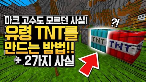 마크 고수도 모르던 유령 Tnt를 만드는 방법 두가지 사실 마인크래프트 Minecraft 블루위키 Youtube