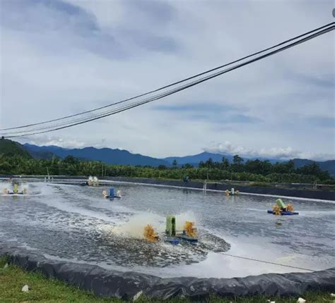 High Density Polyethylene Geotextile Membrane For Anti Seepage