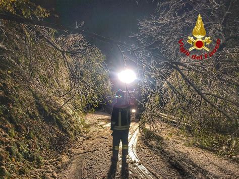 Allagamenti E Alberi Caduti Per Il Maltempo Numerose Le Richieste Di