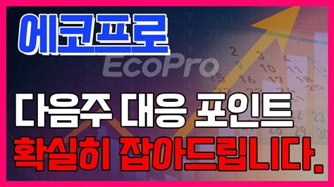 에코프로 다음주 에코프로 대응포인트 정교수가 확실히 잡아드리겠습니다 정교수의 6월9일 추천종목 Lg에너지솔루션 에코프로주가 Youtube
