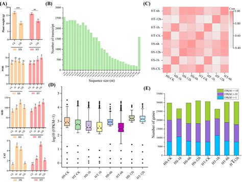 Phenotypic Effect And Overview Of Rna Sequencing Data Based On