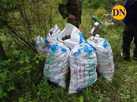 Хуш модны самар бэлтгэх хэмжээг тогтоолоо Dnn Mn