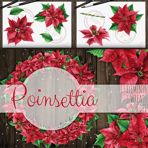 Poinsettia Watercolor Clip Art Masterbundles