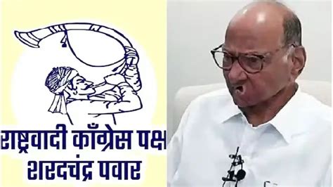 Sharad Pawar Ncp Maharashtra Assembly Election 2024