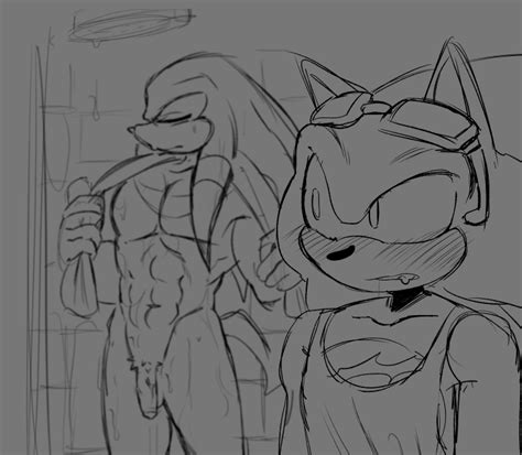 Post 5512774 Knucklestheechidna Scourgethehedgehog Skyuuto Sonic