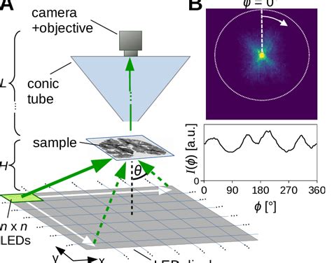 A Setup For Sli Scatterometry Measurement B Example Of Measured