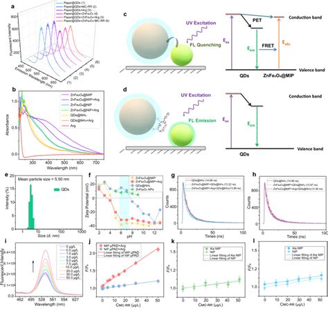 Molecular Imprinting Based Indirect Fluorescence Detection Strategy