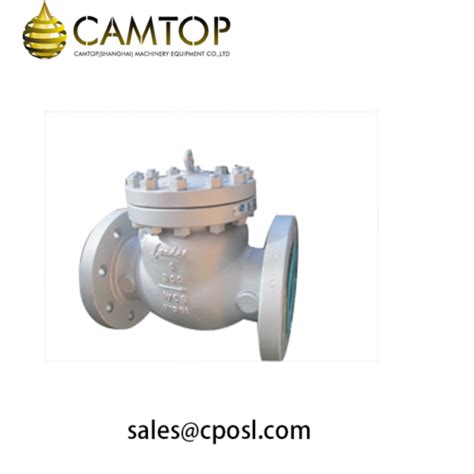 In Lined Flapper Check Valve Dart Check Valve Top Entry Check Valve CAMTOP SHANGHAI
