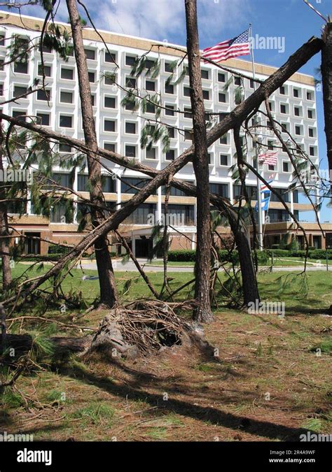 Us Navy Trees Broken By Hurricane Ivan Lay In Front Of Naval Hospital