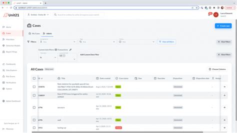 How To Use Custom Data Filters To Find Cases Unit21