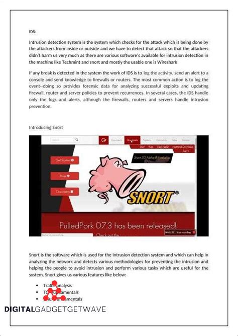 What Is Snort A Comprehensive Guide To Network Intrusion Detection System Updated February
