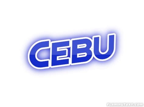 Datamex Cebu Logo