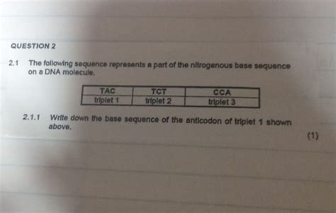 Question The Following Sequence Studyx