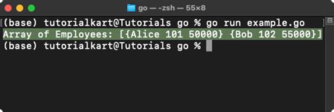 Array Of Structs Golang Examples With Crud Operations