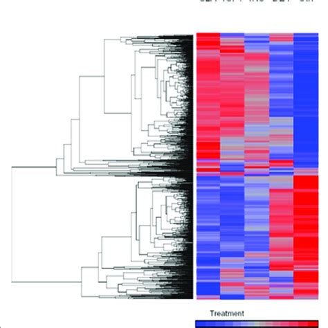 Hierarchical Clustering Map Of Differential Gene Expression In Uspc 1 Download Scientific