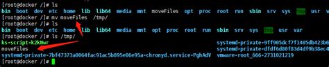 Linux 复制、移动目录、修改文件名、通配符、批量处理将文件移到根目录下并改名 Csdn博客