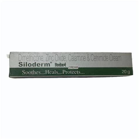 20gm Siloderm Cream At Rs 36 Piece Hari Nagar New Delhi Id 2853491725697