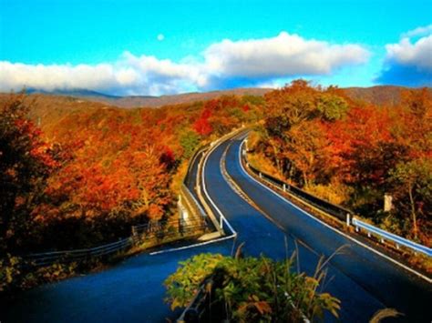 宮城県側の「蔵王エコーライン」で紅葉満喫！ ドライブ All About